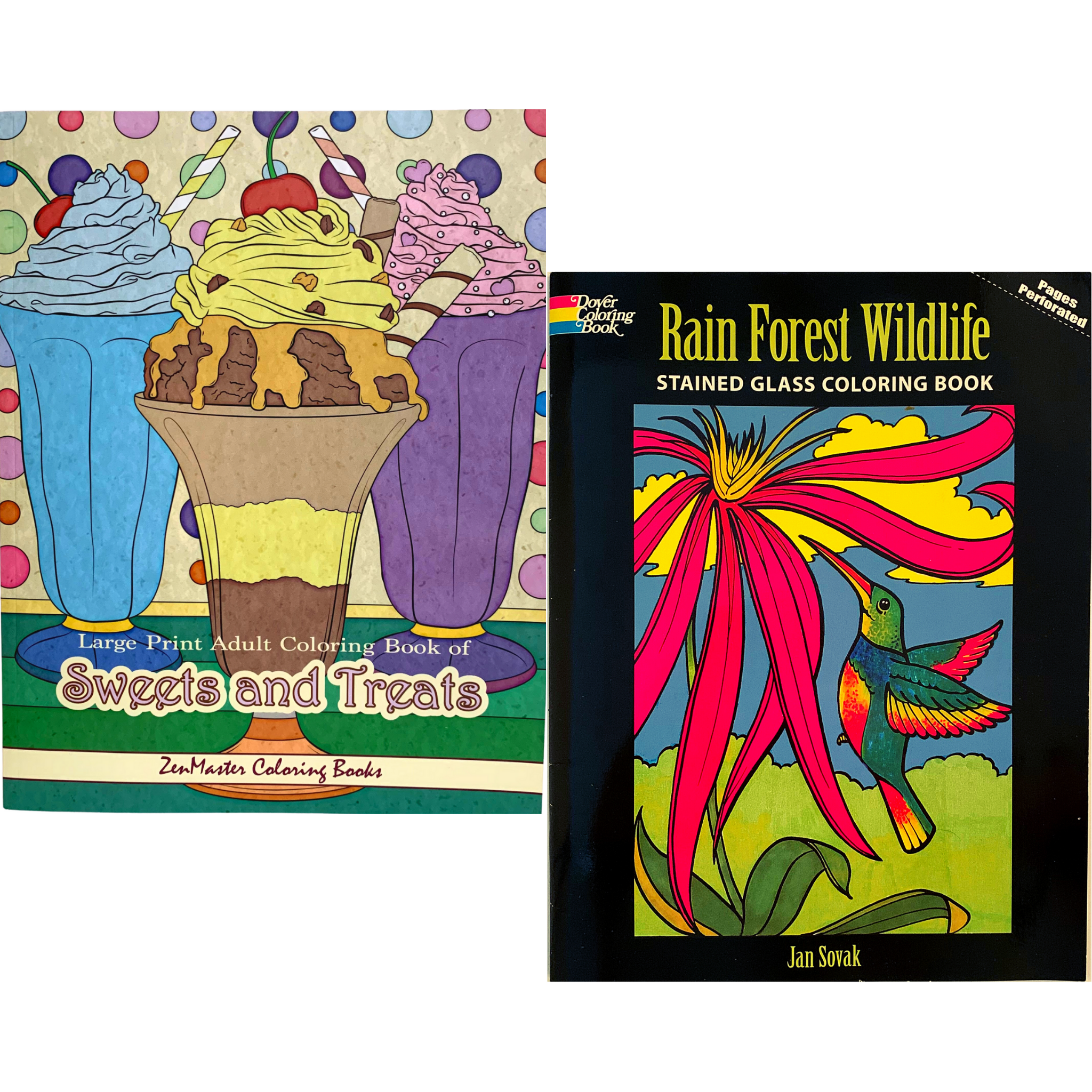 adult coloring book large print